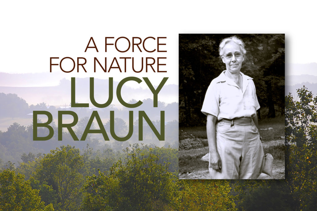 A Force for Nature: Lucy Braun — Home – Voyageur Media Group